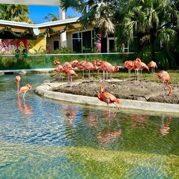 ZOO MIAMI - Updated November 2024 - 3533 Photos & 1009 Reviews - 12400 ...