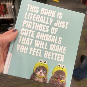 ST. LOUIS COUNTY LIBRARY - MERAMEC VALLEY BRANCH - Updated November ...