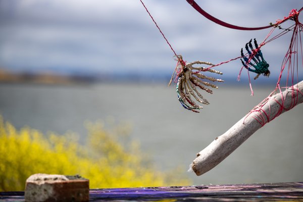 ALBANY BULB - Updated January 2026 - 998 Photos & 213 Reviews - 1 ...