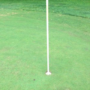 WALNUT LANE GOLF CLUB - Updated December 2025 - 12 Photos & 25 Reviews ...