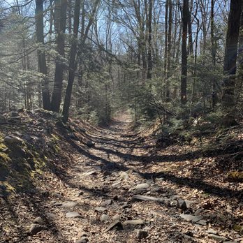 NEVERSINK RIVER UNIQUE AREA - Updated September 2025 - 28 Photos - 754 ...