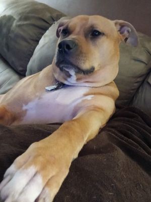 TOLEDO HUMANE SOCIETY - Updated October 2025 - 20 Photos & 14 Reviews ...