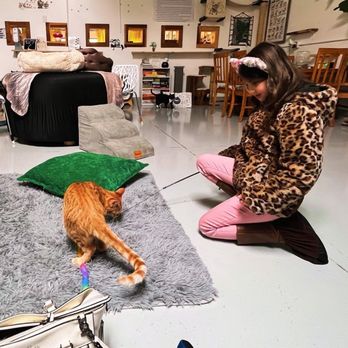 KITTY KISSES CAT CAFE - Updated December 2025 - 156 Photos & 76 Reviews ...
