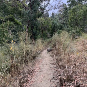 MURPHY RANCH PARK - Updated December 2025 - 224 Photos & 61 Reviews ...