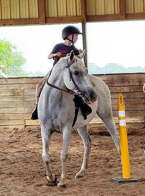 LIBERTY STABLES - Updated July 2025 - 12 Photos - 1694 Knox Chapel Rd ...