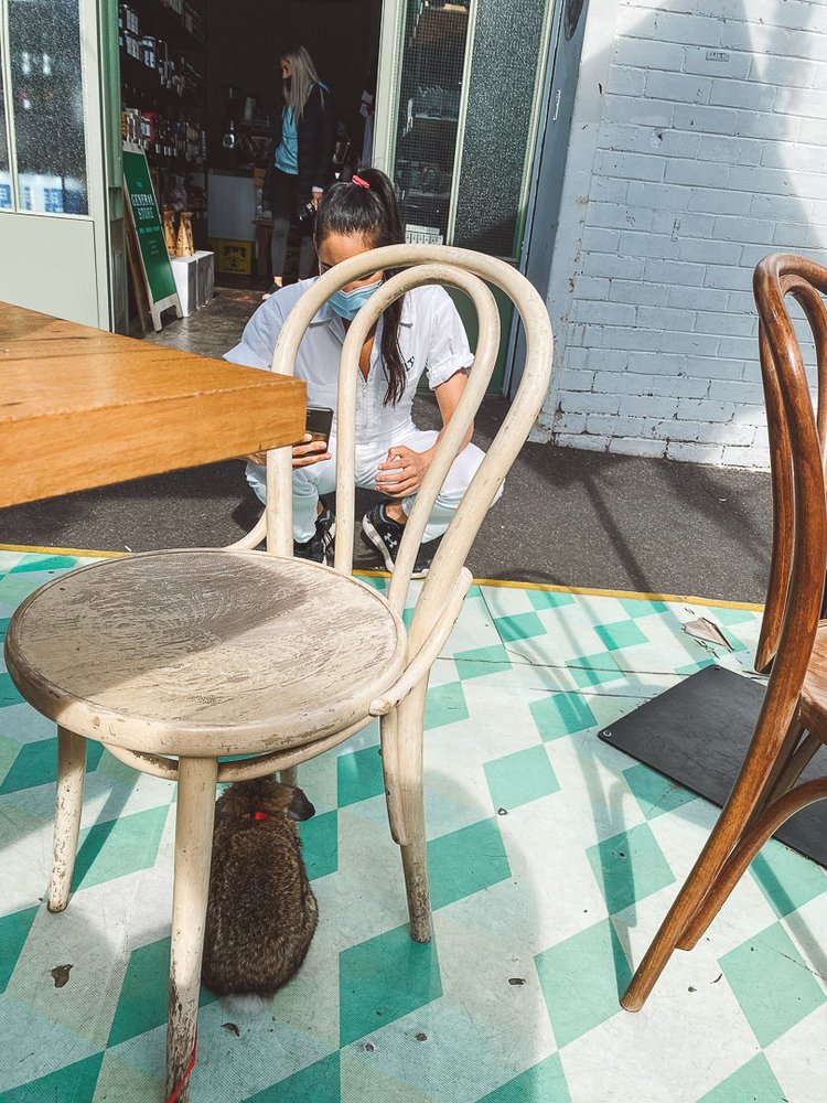 ST ALI COFFEE ROASTERS - Updated April 2026 - 12 Yarra Pl, South ...