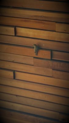 PRESCOTT VALLEY PUBLIC LIBRARY - Updated August 2025 - 32 Photos & 11 ...