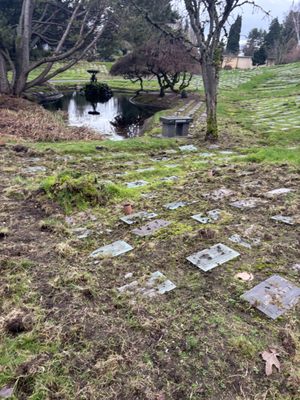 EVERGREEN WASHELLI FUNERAL HOME - Updated January 2026 - 62 Photos & 65 ...