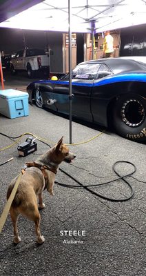 ALABAMA INTERNATIONAL DRAGWAY - Updated September 2024 - 1245 Crump Rd ...