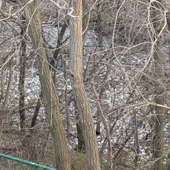 MICHAEL J TULLY PARK - Updated January 2026 - 43 Photos & 30 Verified ...