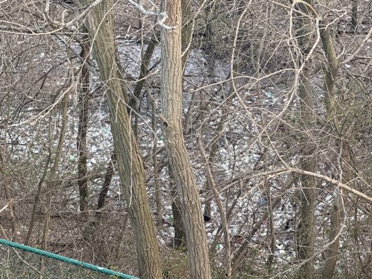 MICHAEL J TULLY PARK - Updated December 2025 - 43 Photos & 29 Reviews ...