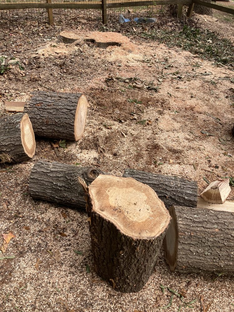 MARIO AND SONS STUMP GRINDING - Updated July 2025 - 1317 Geneva Dr ...