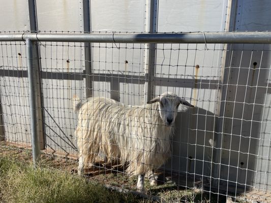 CARL’S DAMAGED PET WAREHOUSE - Updated May 2025 - 64 Photos & 34 ...