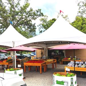 SPRINGDALE FARM MARKET - 34 Photos & 37 Reviews - 1638 S Springdale Rd ...