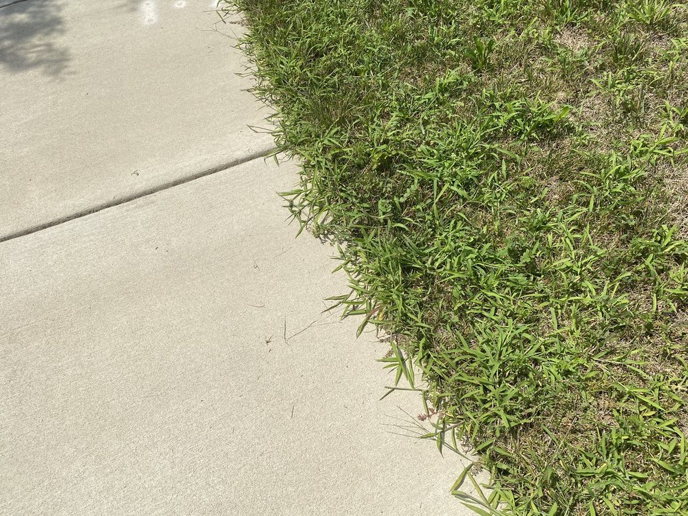 LAWN LOVE LAWN CARE - Updated June 2024 - 17 Photos & 31 Reviews ...