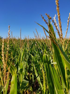 P BAR FARMS - Updated June 2026 - 25 Photos - 1002 Old 66 Rd, Hydro ...