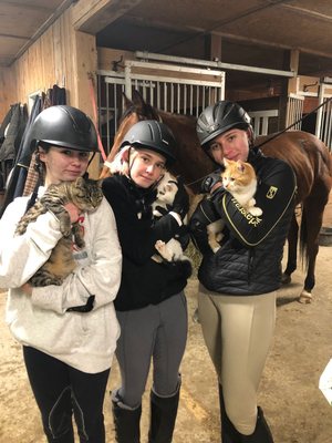 REDWOOD STABLES - 24 Photos - 809 Wagg Road, Uxbridge, Ontario ...