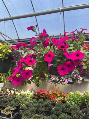 RIGHTWAY GARDEN CENTER - Updated July 2025 - 36 Photos & 12 Reviews ...