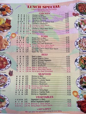 CHINA WOK - Updated December 2024 - 17 Photos & 11 Reviews - 96 Salt ...