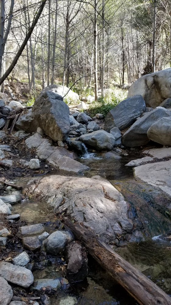 SUNSET RIDGE TRAIL - Updated September 2024 - 30 Photos - 4047 Chaney ...