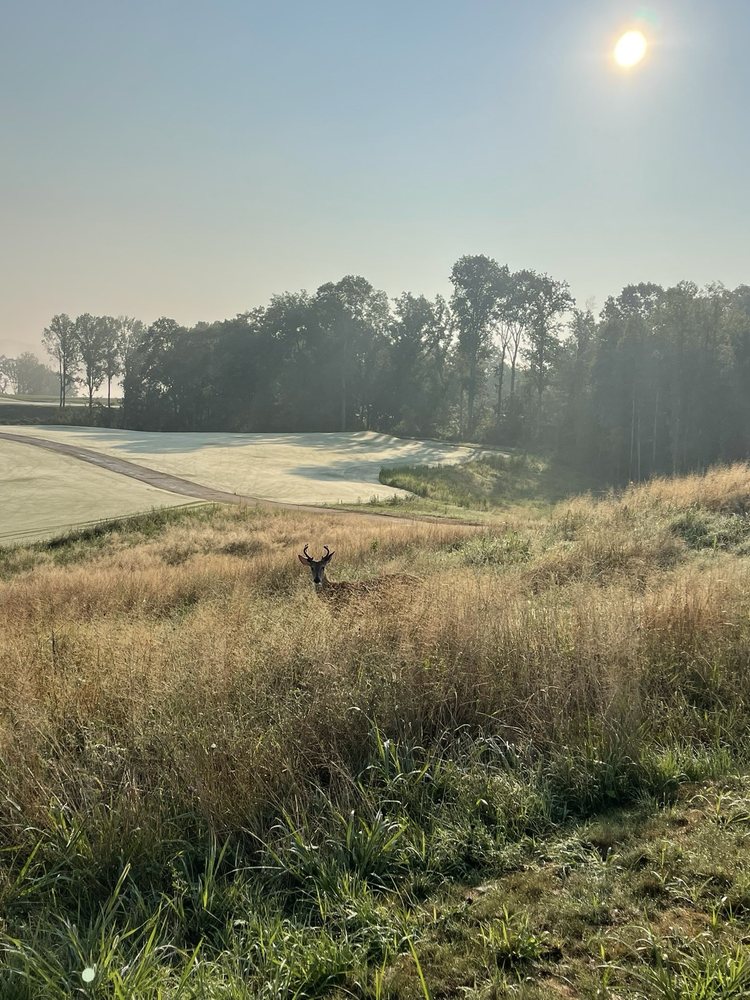 DONEGAL HIGHLANDS GOLF COURSE - Updated April 2026 - 11 Photos & 13 ...
