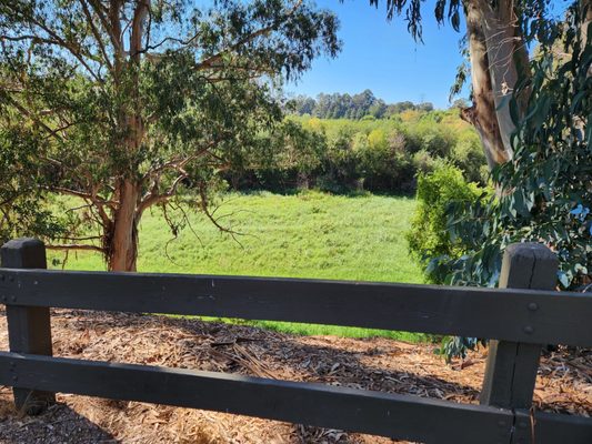 DON CASTRO REGIONAL RECREATION AREA - Updated June 2026 - 401 Photos ...