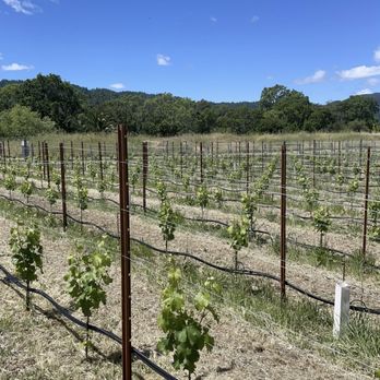 BRIX - Updated August 2024 - 2806 Photos & 1651 Reviews - 7377 St ...