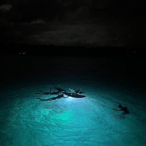 LIQUID HAWAII - 83 Photos & 90 Reviews - Puako Boat Ramp Puako Beach Dr ...