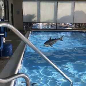 COURTYARD BY MARRIOTT LYNDHURST MEADOWLANDS - 42 Photos & 72 Reviews ...