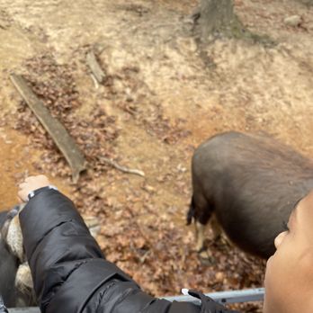 LAZY 5 RANCH - Updated July 2025 - 862 Photos & 297 Reviews - 15100 ...