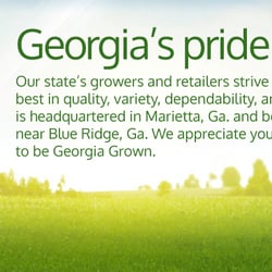 FONTIS WATER - 22 Photos & 15 Reviews - 3929 Canton Rd, Marietta ...