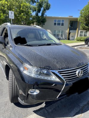 LEXUS SANTA MONICA - Updated December 2025 - 308 Photos & 1493 Reviews ...