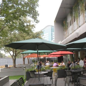 TREEBEARDS - Updated June 2024 - 211 Photos & 123 Reviews - 9655 Katy ...