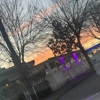 OCTOPUS KITCHEN - Updated June 2025 - 465 Photos & 274 Reviews - 1551 ...