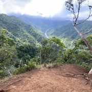 AIEA LOOP TRAIL - 1316 Photos & 302 Reviews - 99-1849 Aiea Heights Dr ...