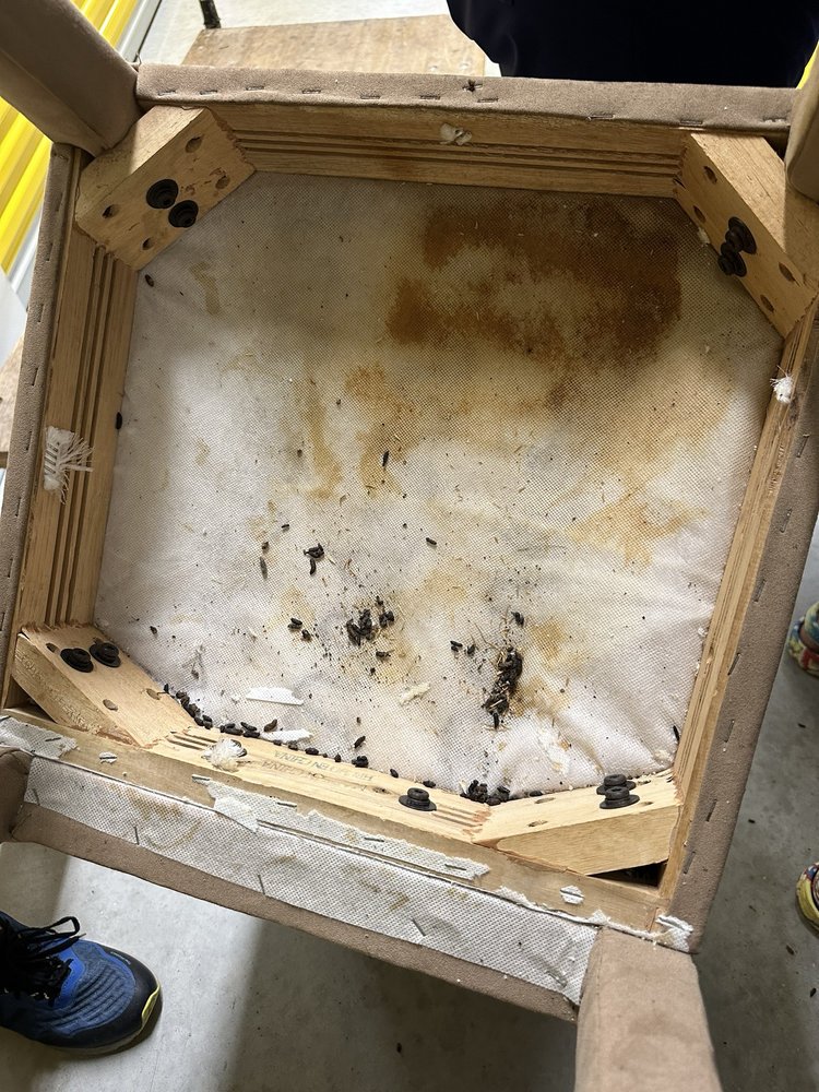 BEE SAFE STORAGE - Updated August 2025 - 57 Photos & 17 Reviews - 1205 ...