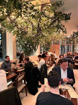 FRENA - Updated August 2025 - 358 Photos & 105 Reviews - 773 10th Ave ...