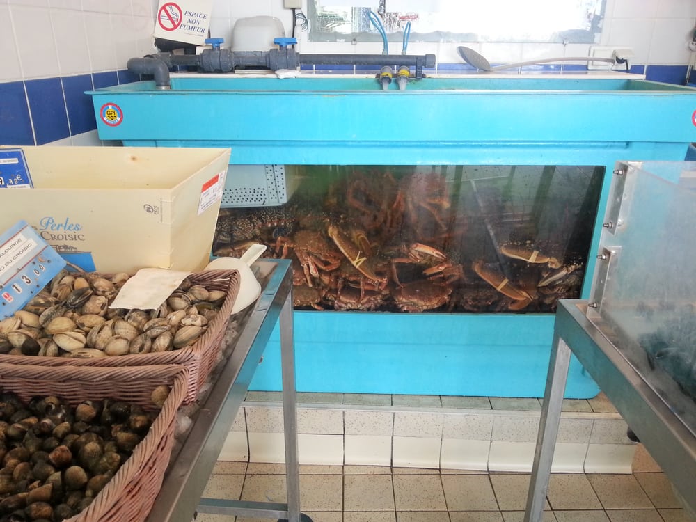 MARÉE BAT’Z - 31 rue Plage, Batz sur Mer, Loire-Atlantique, France ...