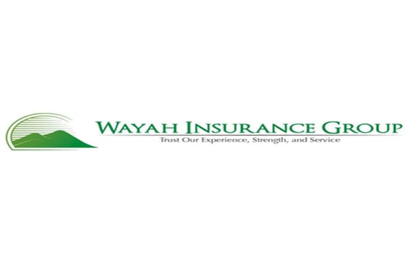 WAYAH INSURANCE - Updated October 2025 - 295 E Palmer St, Franklin ...