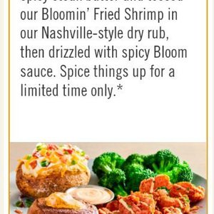 OUTBACK STEAKHOUSE - 179 Photos & 217 Reviews - 6266 Lantana Rd, Lake ...