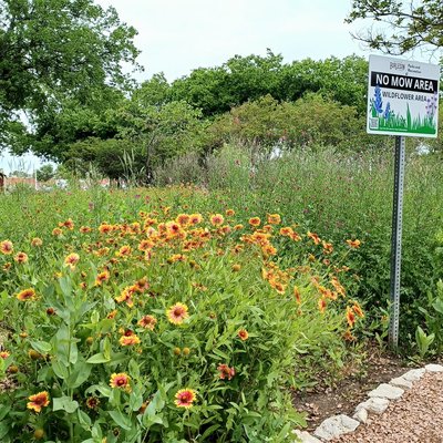 BURLESON PUBLIC LIBRARY - Updated August 2025 - 17 Photos & 11 Reviews ...