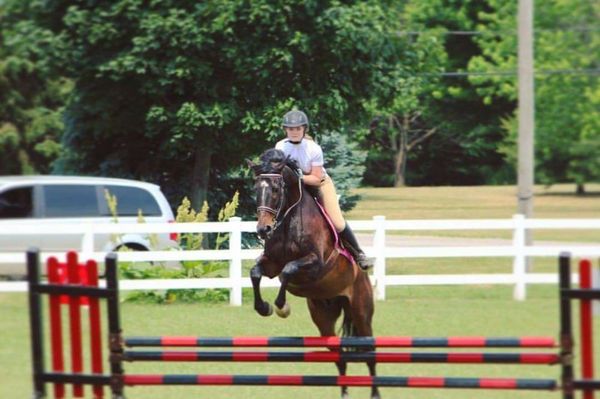 ROCKING L RANCH - Updated September 2024 - 1075 Gore Rd, Morris ...