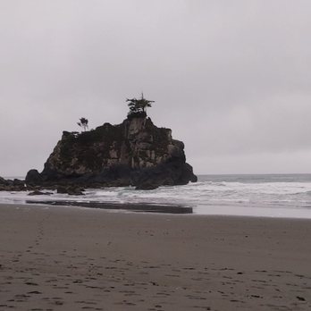 MOTEL TREES - Updated October 2025 - 65 Photos & 74 Reviews - 15495 Hwy ...