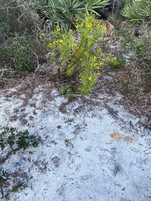 SEABRANCH PRESERVE STATE PARK - Updated December 2024 - 44 Photos & 10 ...