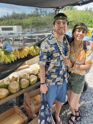 ALOHA SUNSHINE TOURS - Updated July 2024 - 64 Photos & 53 Reviews ...