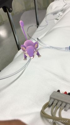 SURGICARE OF HAWAII - Updated February 2026 - 13 Photos & 43 Reviews ...