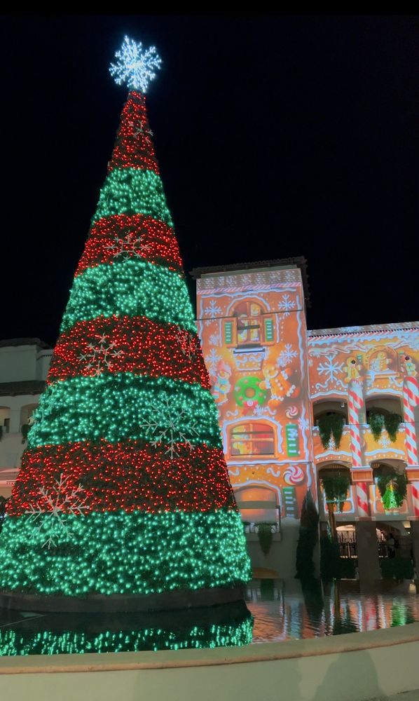 CHRISTMAS AT THE PRINCESS - Updated March 2025 - 12 Photos - 7575 E ...