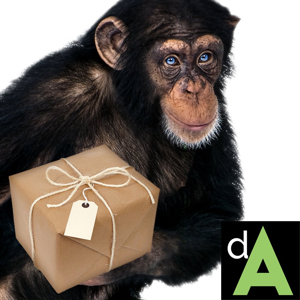 DELIVERY ANIMALS - 10 Photos - 6101 North Keystone, Indianapolis ...