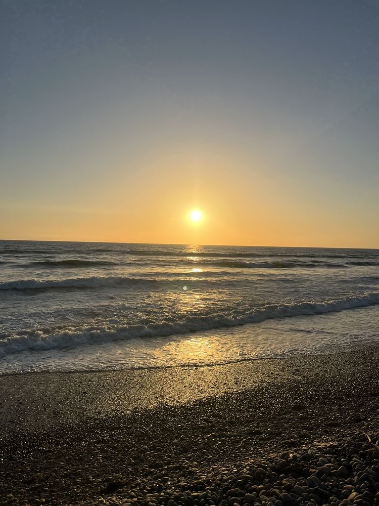 SOUTH PONTO BEACH - 118 Photos & 42 Reviews - La Costa Ave Hwy 101 ...