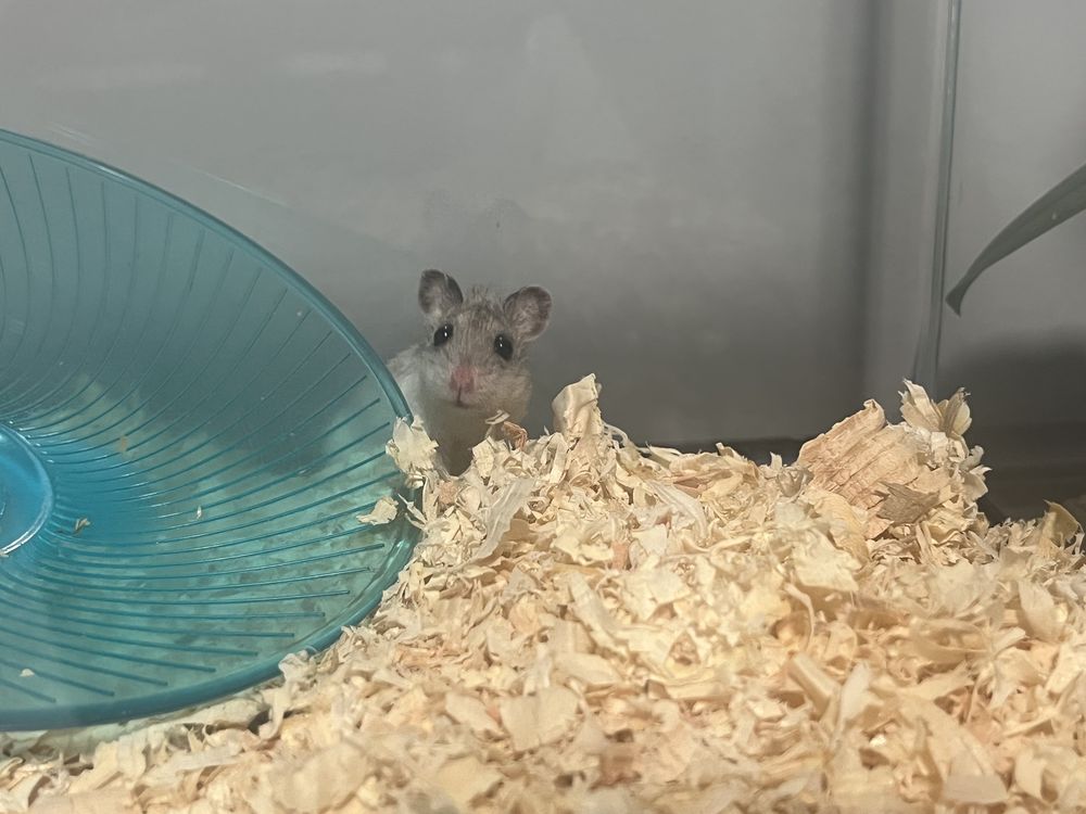 NEVINS FARM AND EQUINE CENTRE - Updated December 2025 - 38 Reviews ...